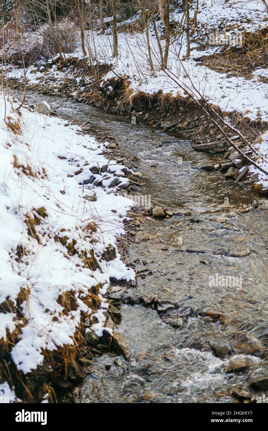 Mountain stream against forest in winter Stock Photo - Alamy