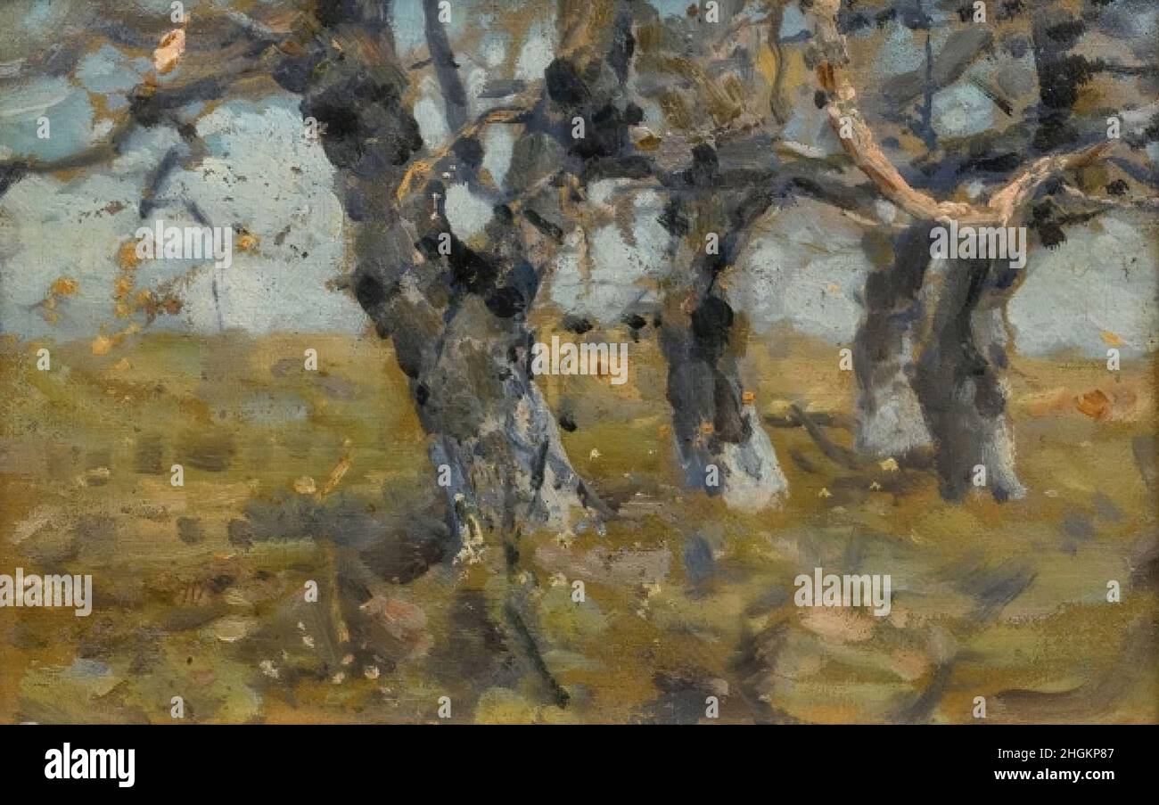 Michetti Francesco Paolo - Private Collection - Landscape with olive ...