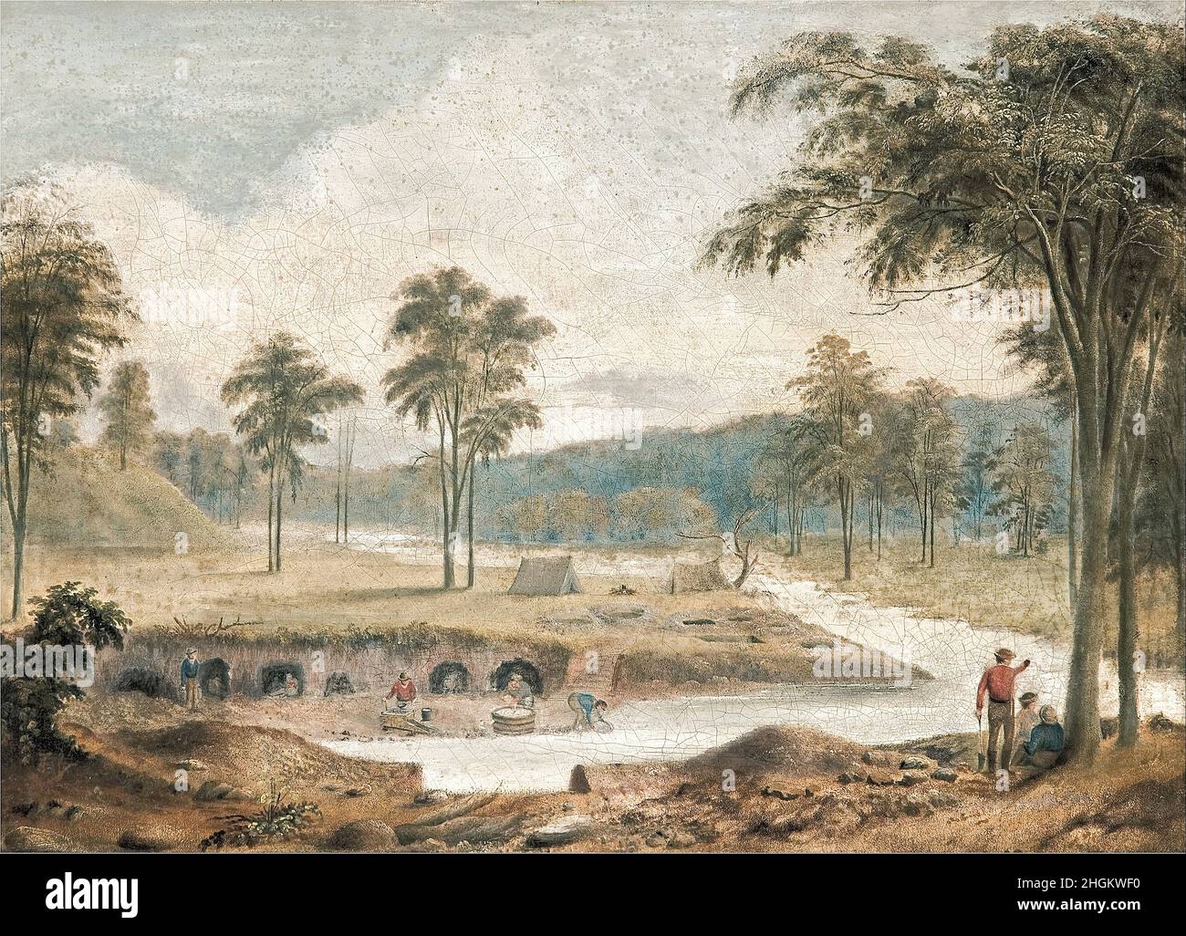 David Tulloch - Gold digging Stock Photo - Alamy