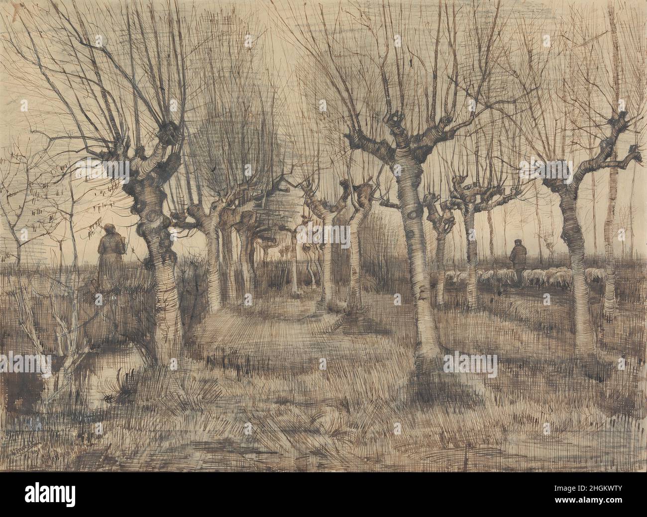 Pollard Birches - 1884 - acquerello, matita, penna e inchiostro on ...