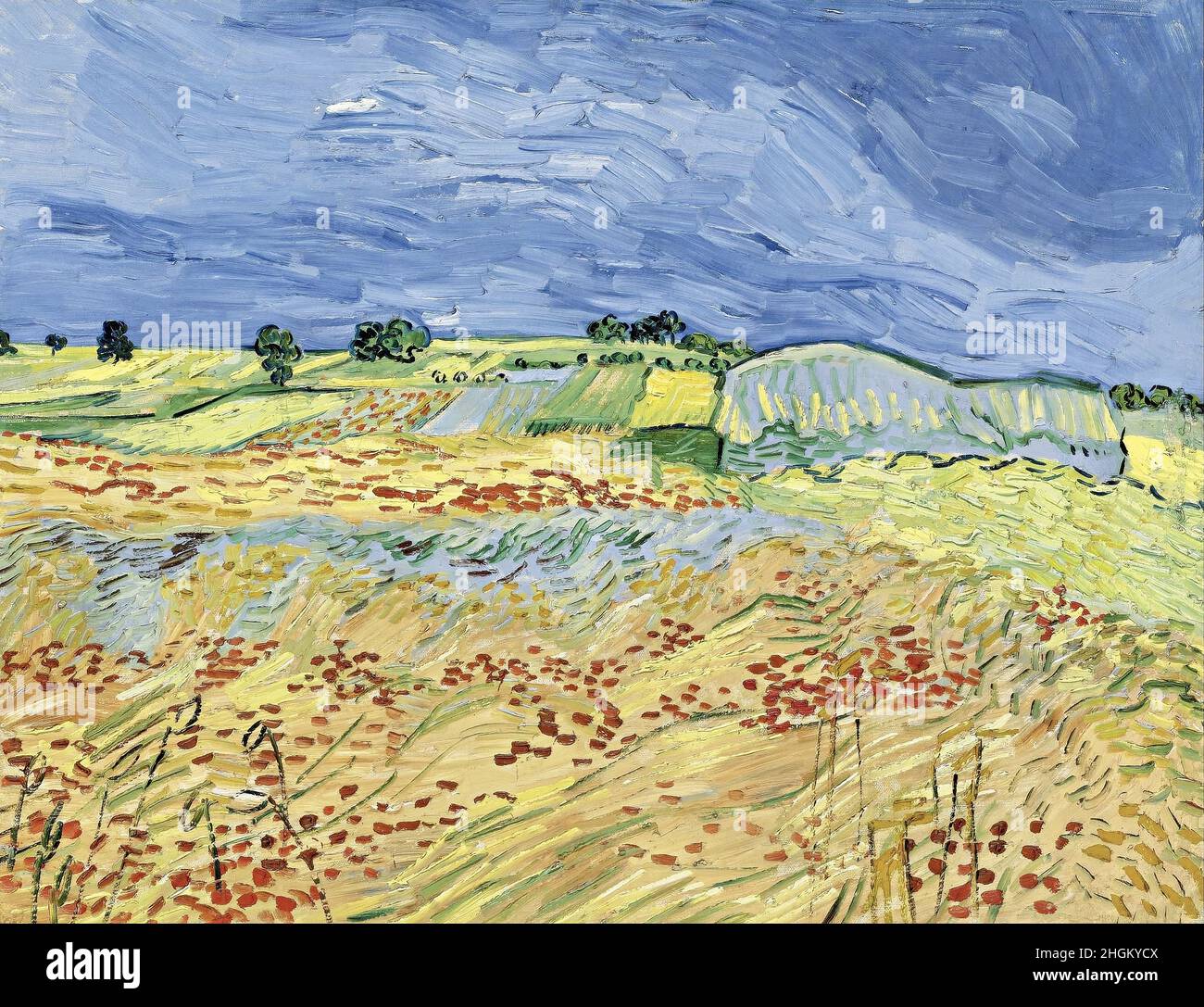 Van Gogh Vincent - Private Collection - The fields - Wheat fields ...