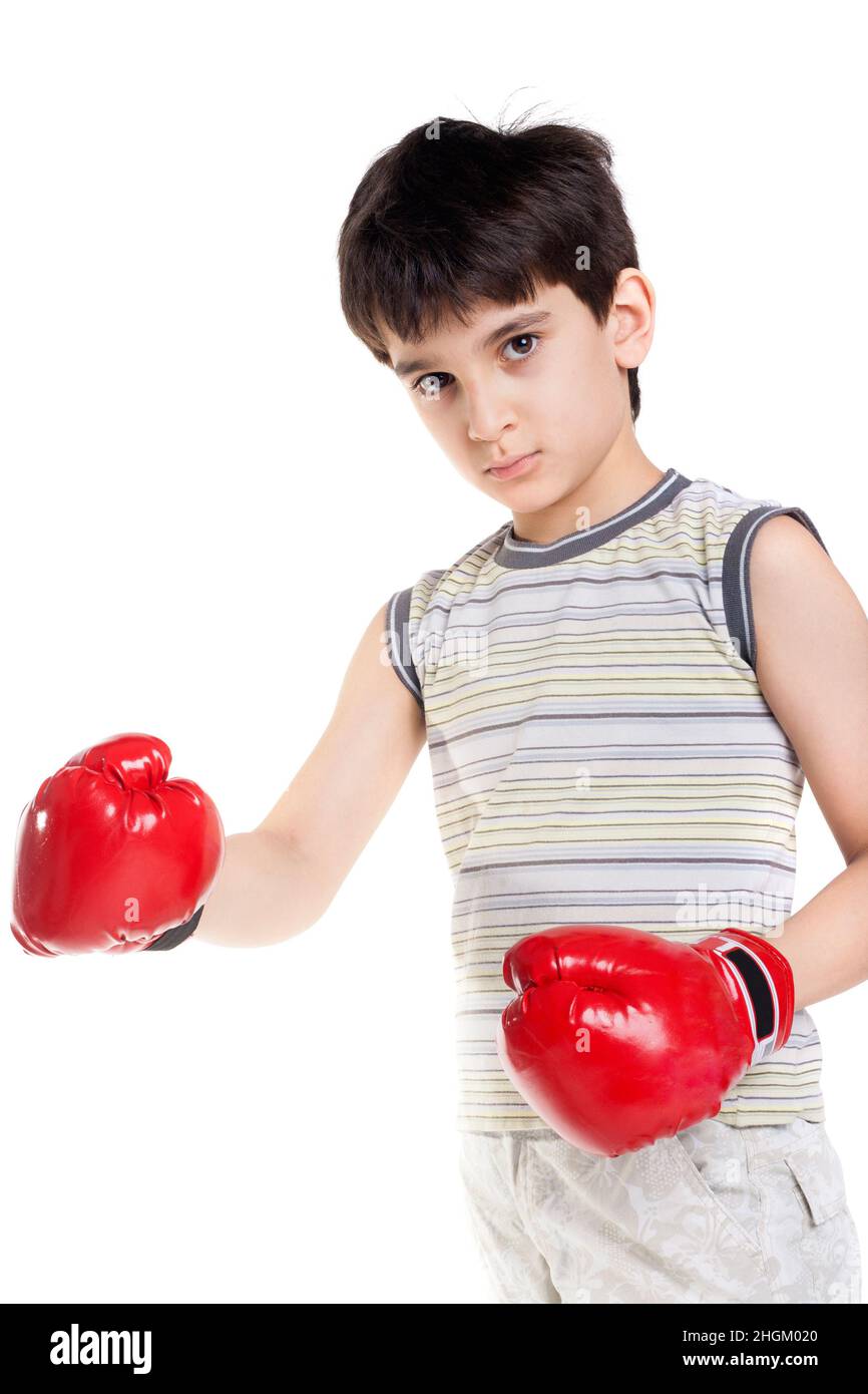 cute handsome little boxer closeup isolated on white Stock Photo - Alamy