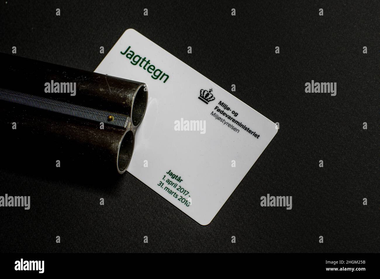 danish hunting licence under the muzzle of a shotgun against black ...