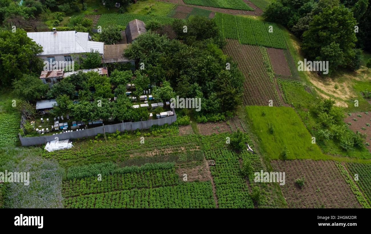 Rural bee hives edge hi-res stock photography and images - Alamy
