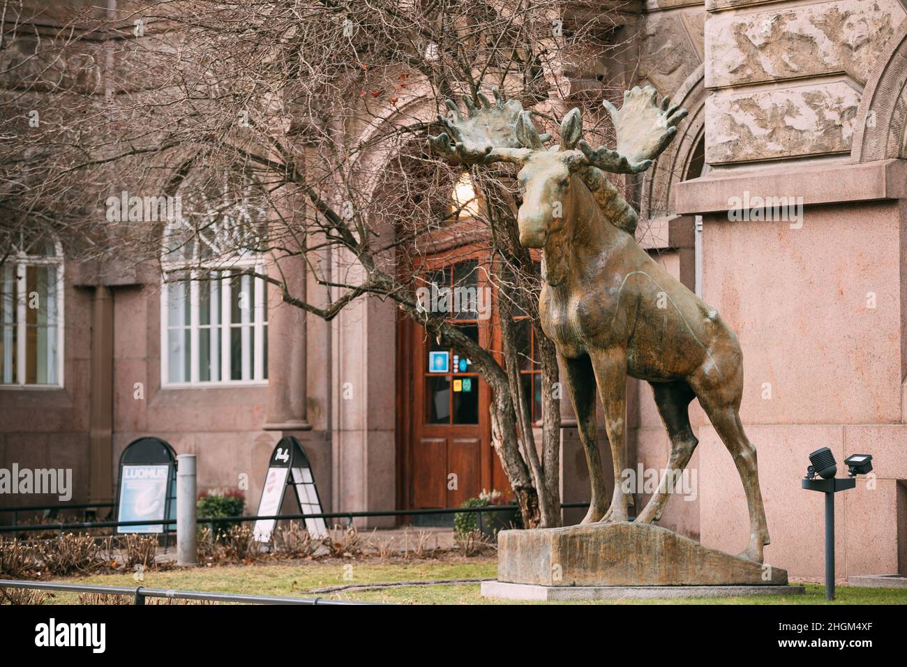 Helsinki, Finland. Statue Of Elk At Entrance In Natural History Museum ...