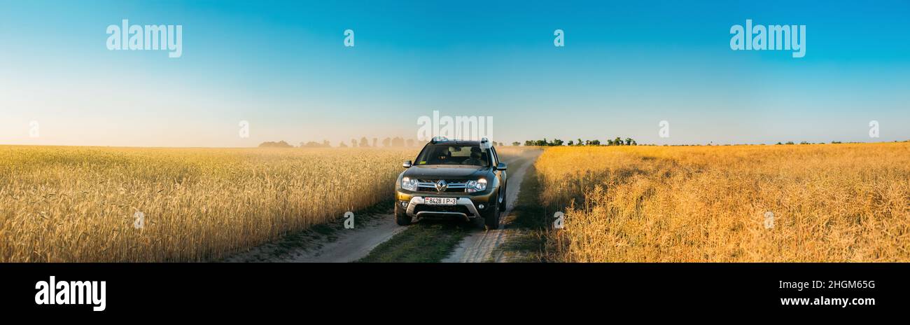 Renault Duster or Dacia Duster SUV in summer wheat field countryside ...