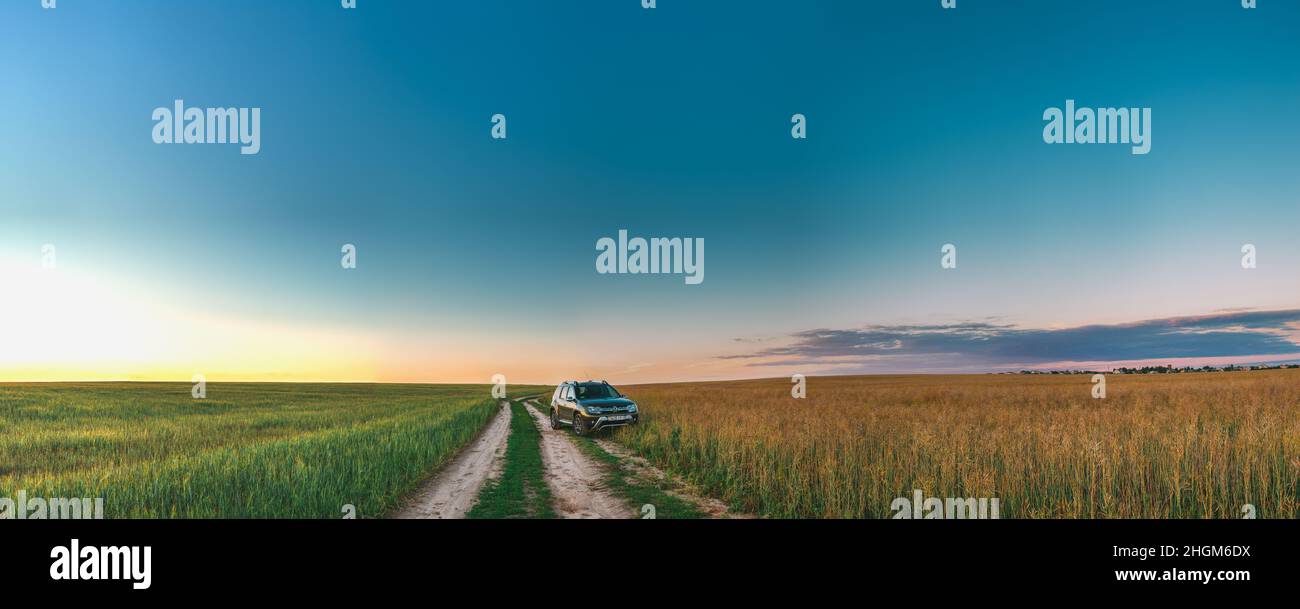 Renault Duster or Dacia Duster SUV in summer wheat field countryside ...