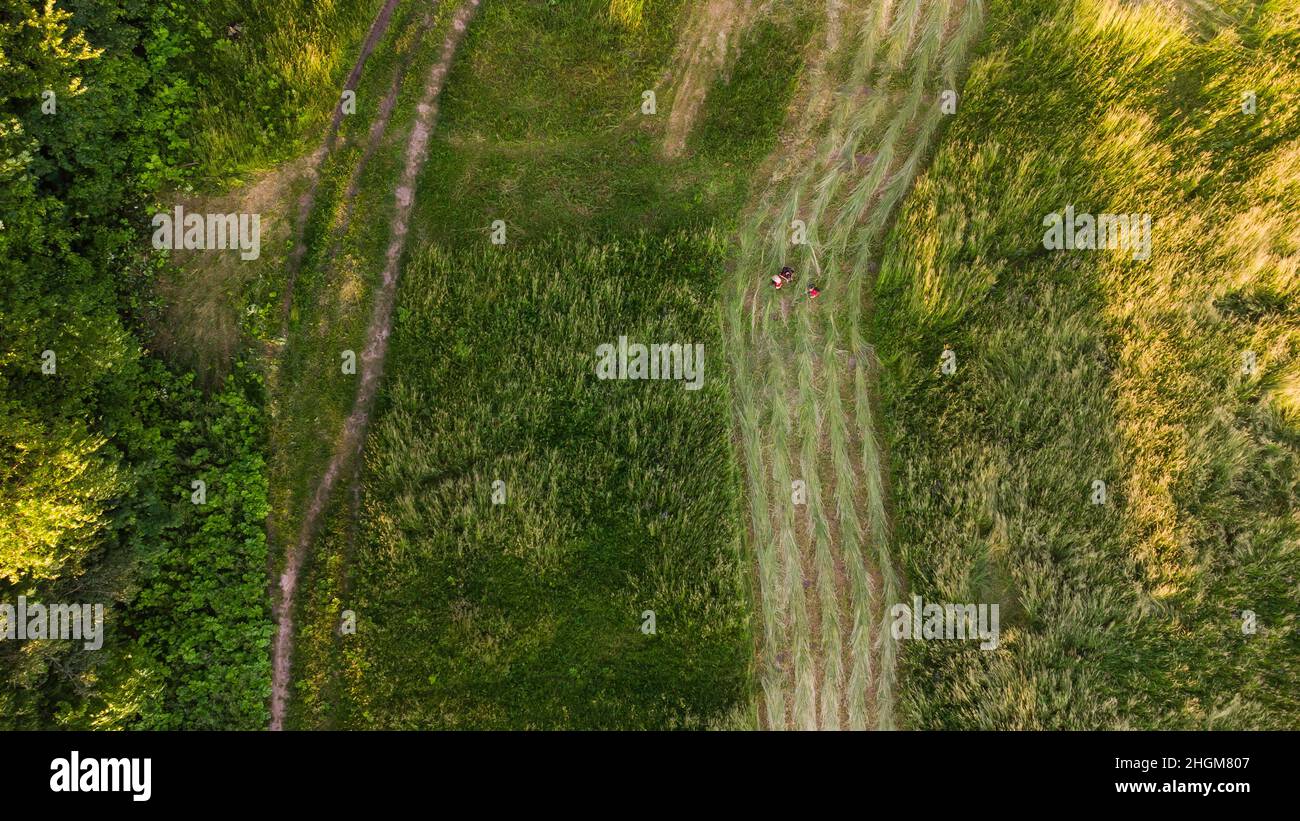 Natural grass texture, Aerial view of park Stock Photo - Alamy