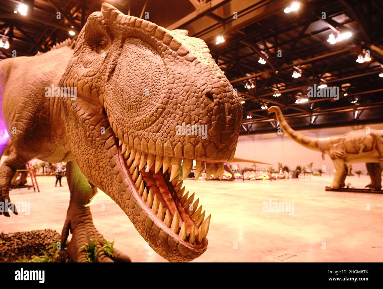 St. Louis, USA. 21st Jan, 2022. Large dinosaurs of all sizes wait to be ...