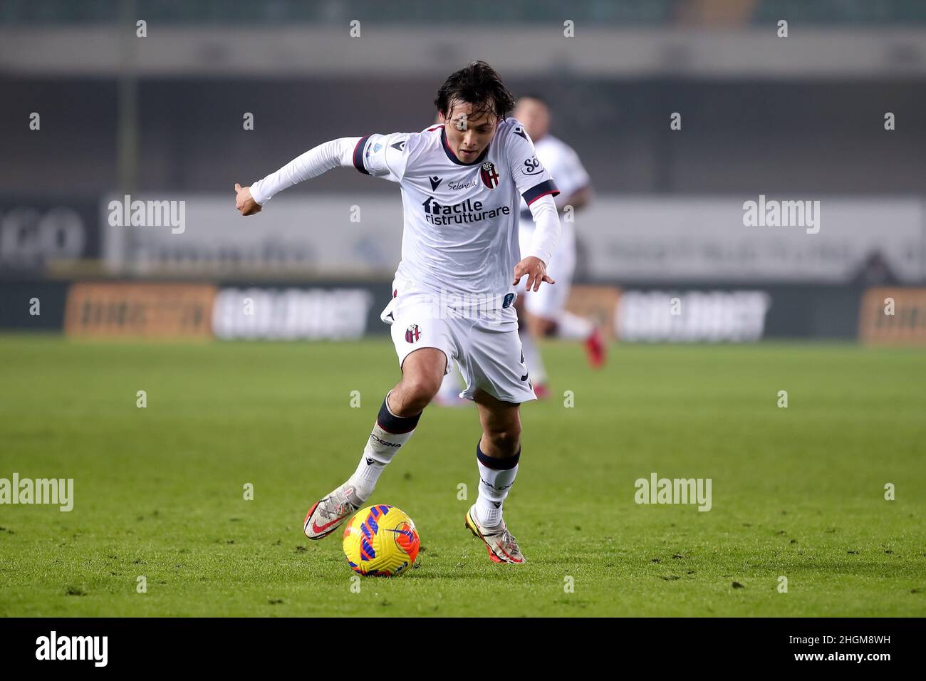 Bologna emanuele hi-res stock photography and images - Alamy