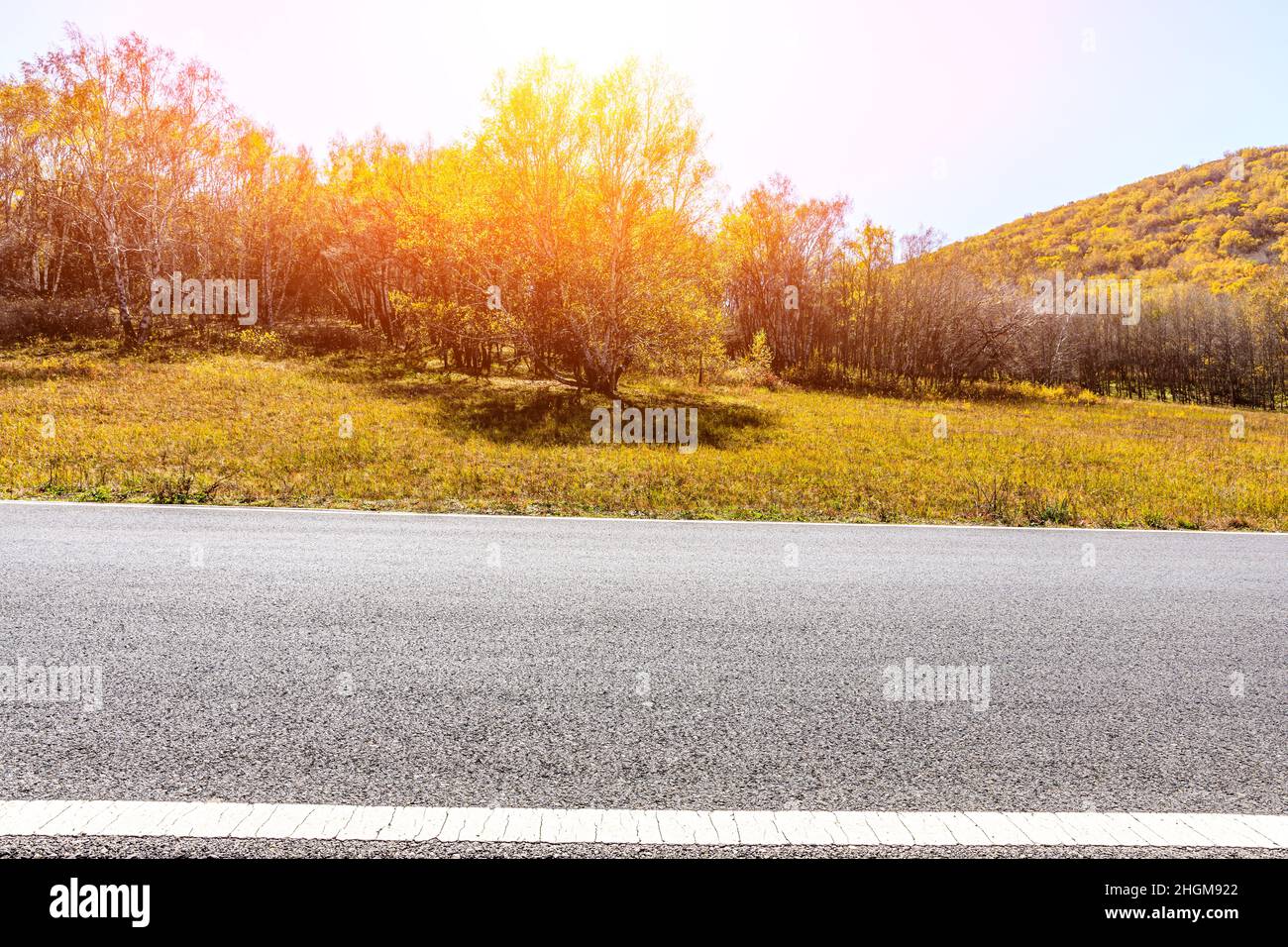 Asphalt in nature hi-res stock photography and images - Alamy