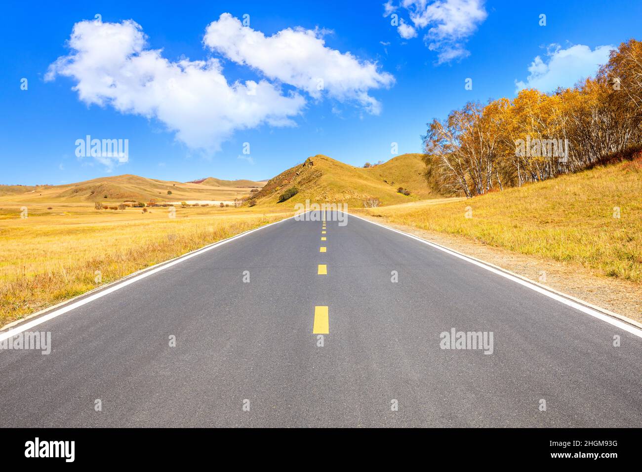 Asphalt road and trees with mountain nature landscape at autumn Stock ...