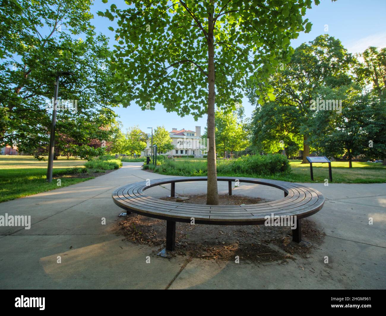 Circular bench surrounding tree. Mills Park and Pleasant Home. Oak Park ...