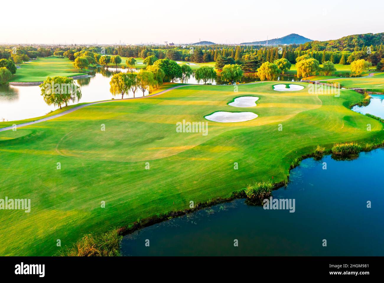 Aerial view of green lawn and forest on golf course.Green golf course ...