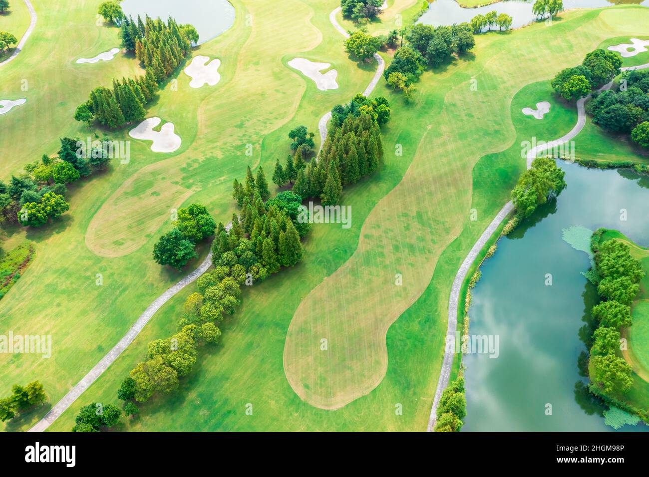 Aerial view of green lawn and forest on golf course Stock Photo - Alamy