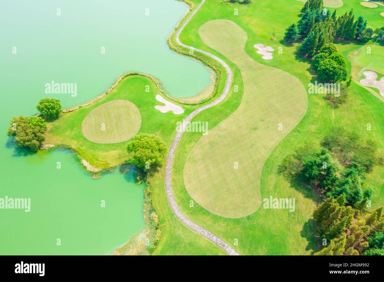 Aerial view of green lawn and forest on golf course Stock Photo - Alamy