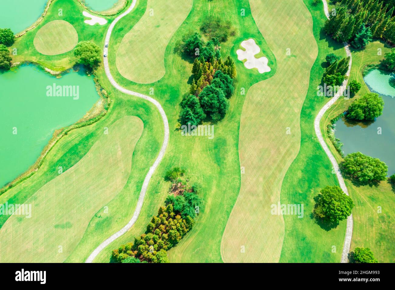 Aerial view of green lawn and forest on golf course Stock Photo - Alamy