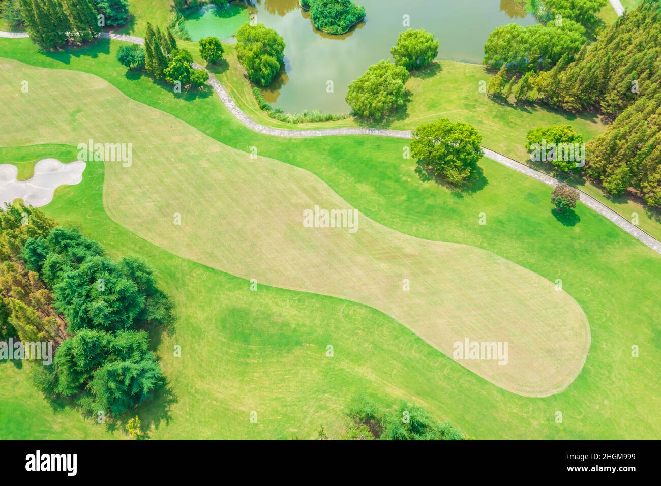 Aerial view of green lawn and forest on golf course Stock Photo - Alamy