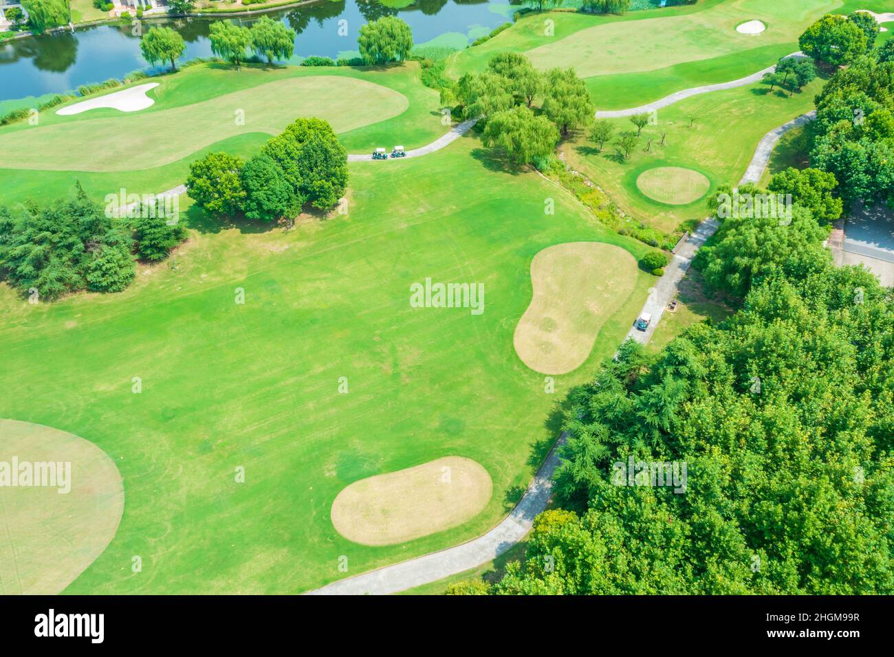 Aerial view of green lawn and forest on golf course Stock Photo - Alamy