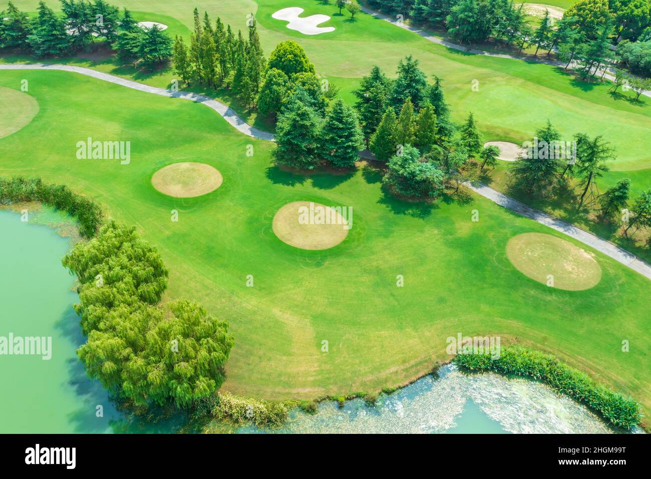 Aerial view of green lawn and forest on golf course Stock Photo - Alamy