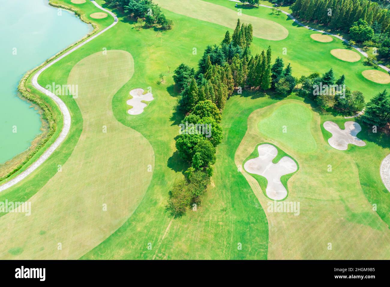 Aerial view of green lawn and forest on golf course Stock Photo - Alamy