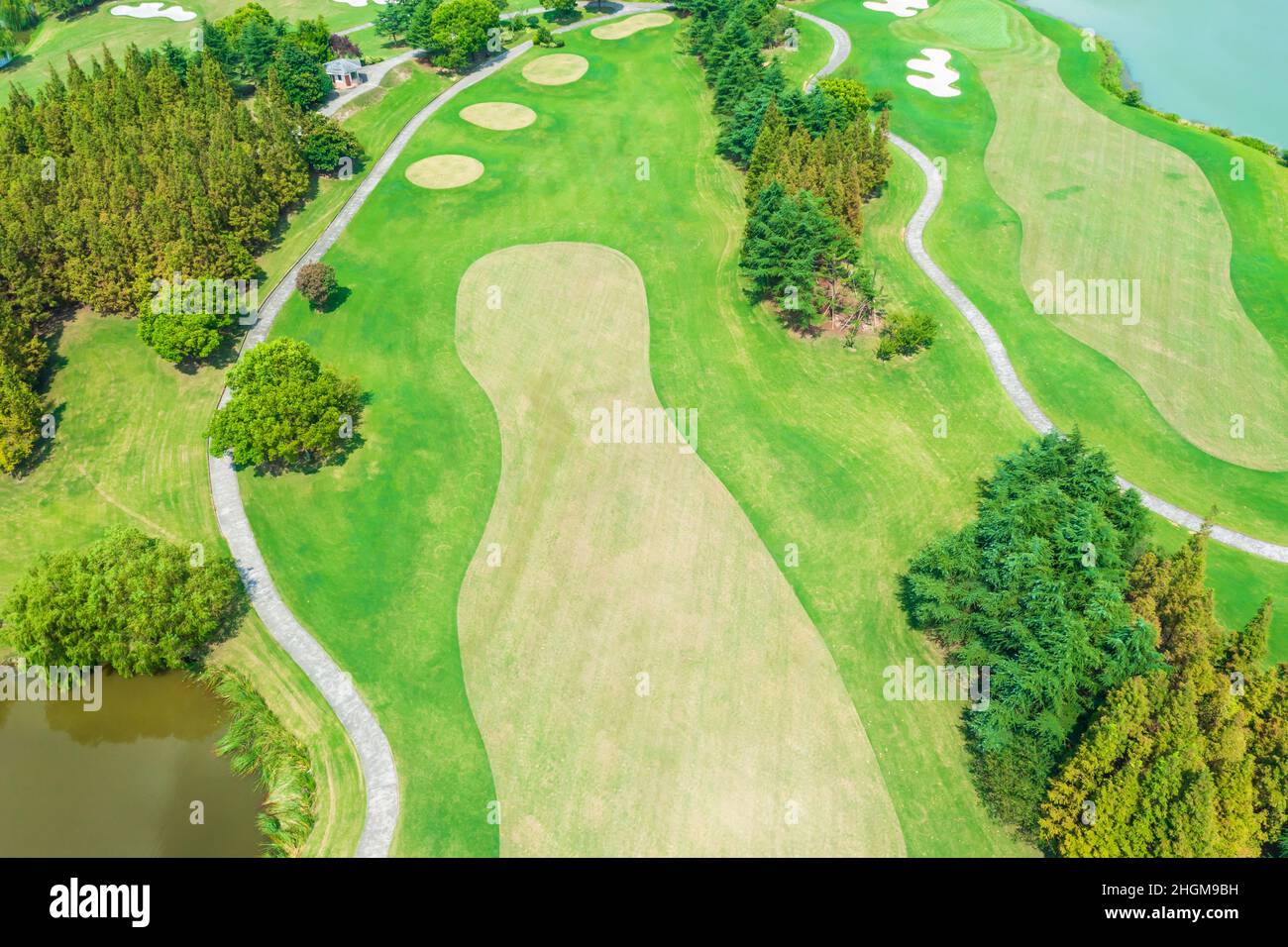 Aerial view of green lawn and forest on golf course Stock Photo - Alamy