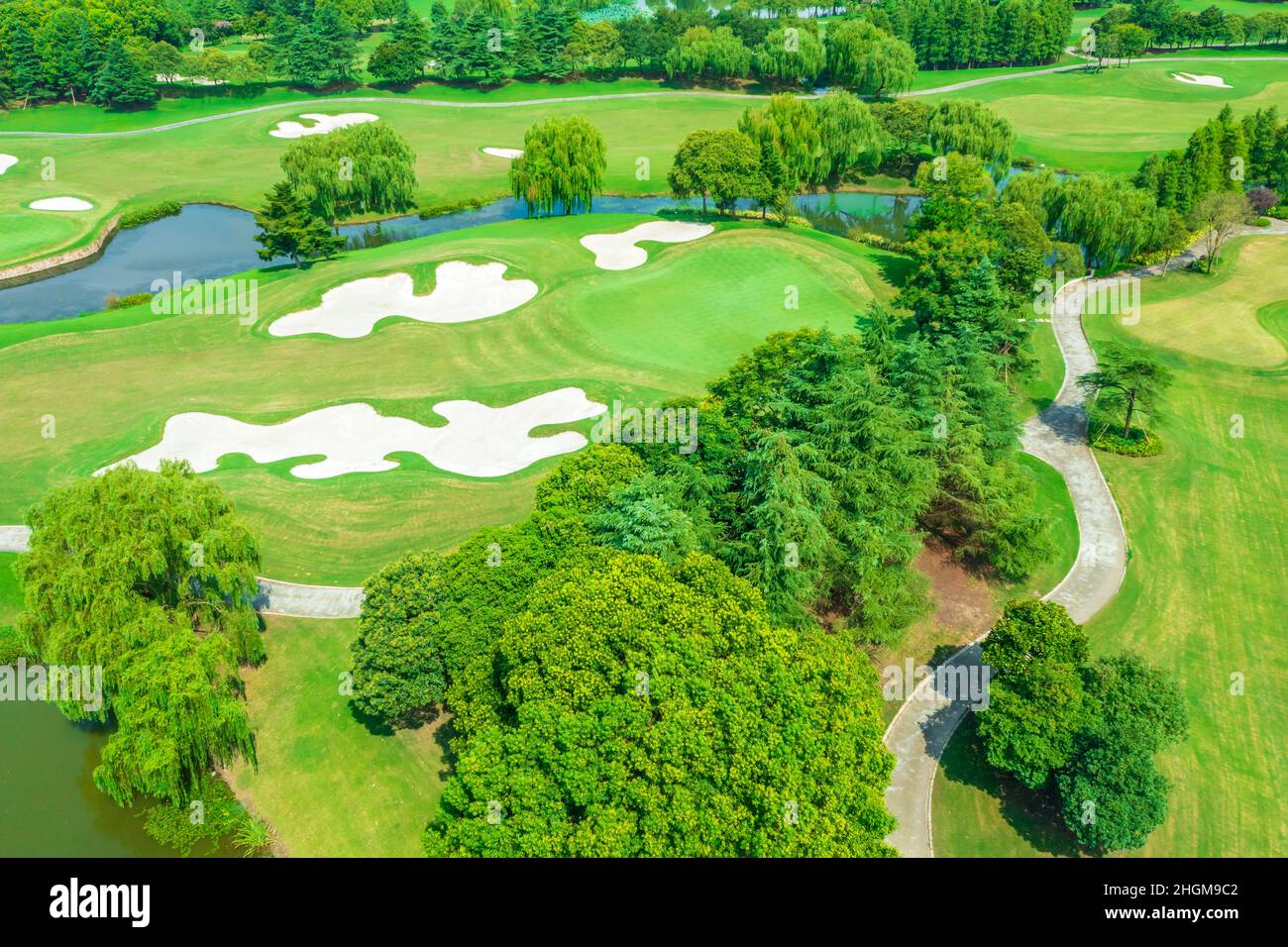 Aerial view of green lawn and forest on golf course Stock Photo - Alamy