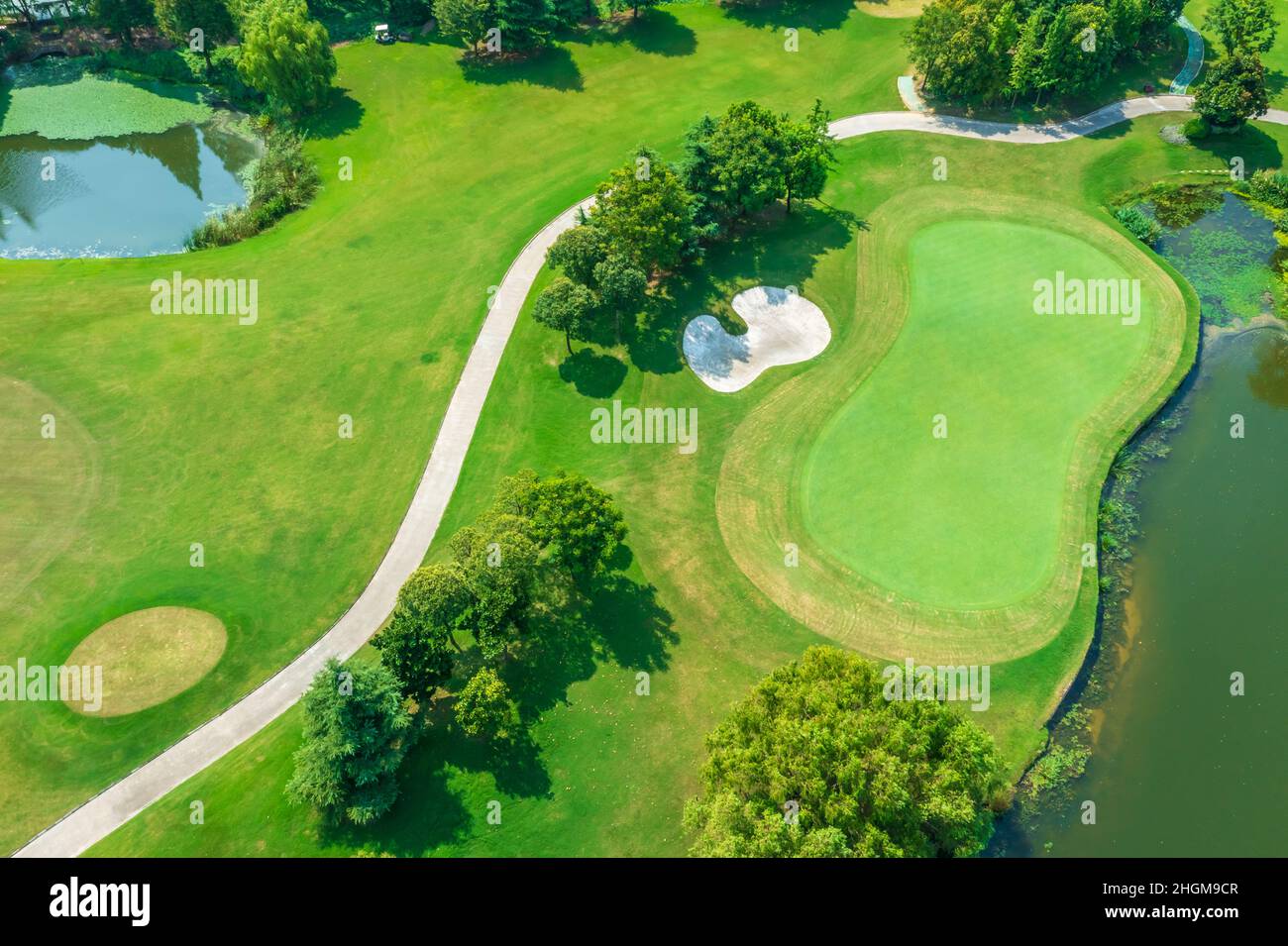 Aerial view of green lawn and forest on golf course Stock Photo - Alamy