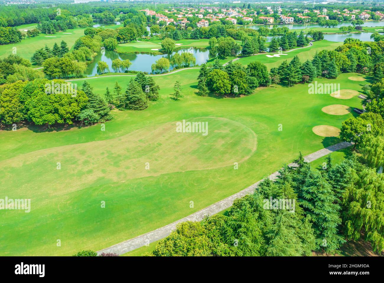 Aerial view of green lawn and forest on golf course.Green golf course ...