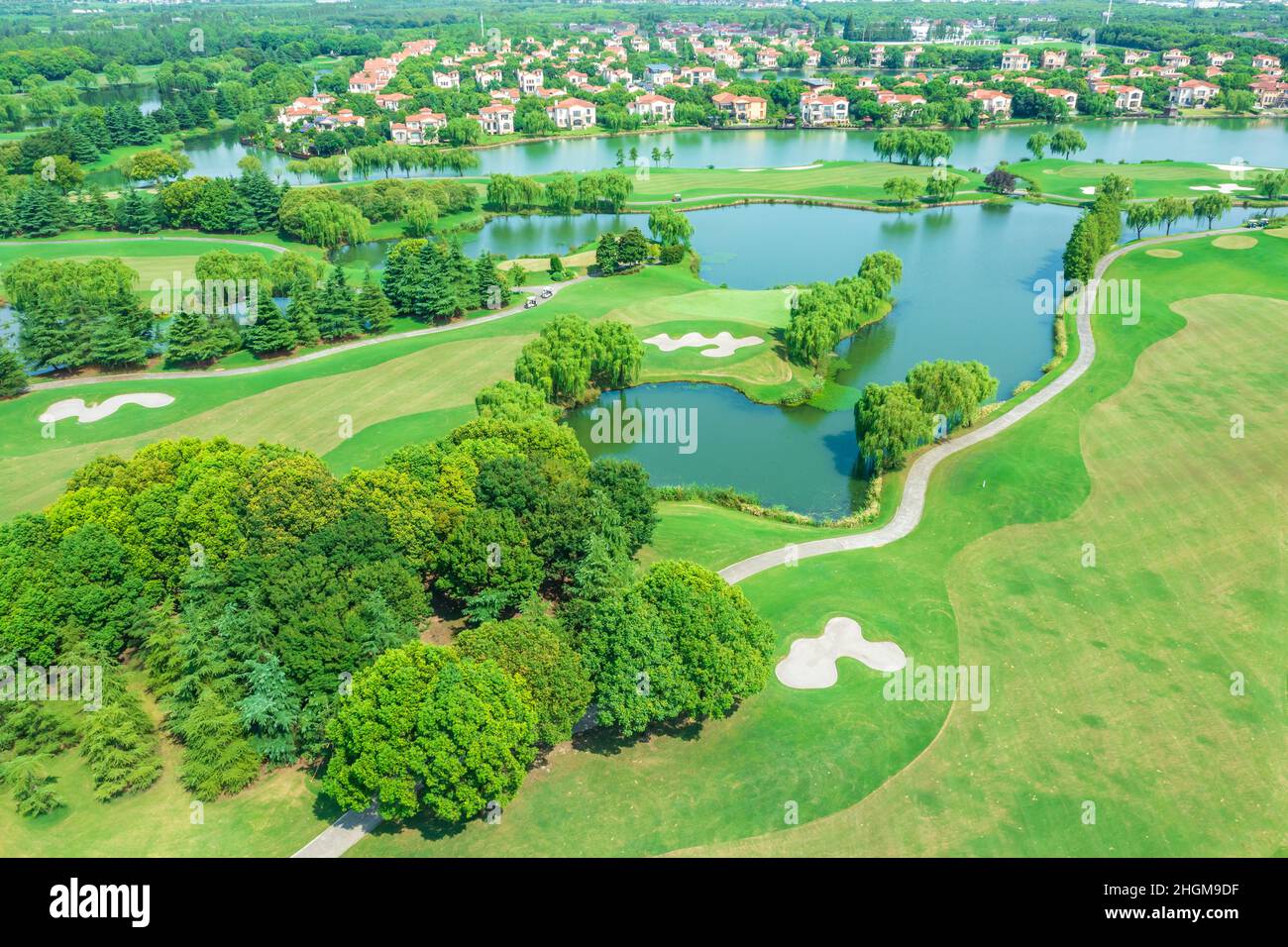 Aerial view of green lawn and forest on golf course.Green golf course ...