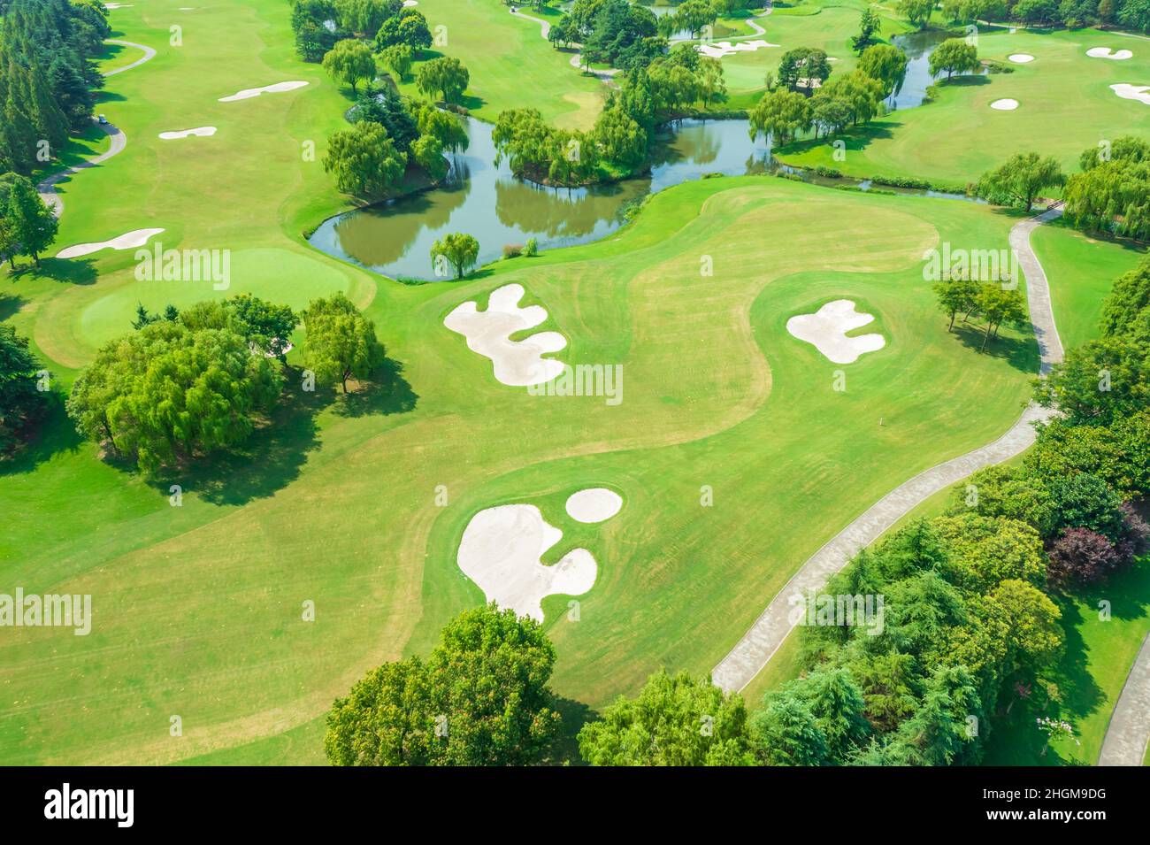 Aerial view of green lawn and forest on golf course Stock Photo - Alamy