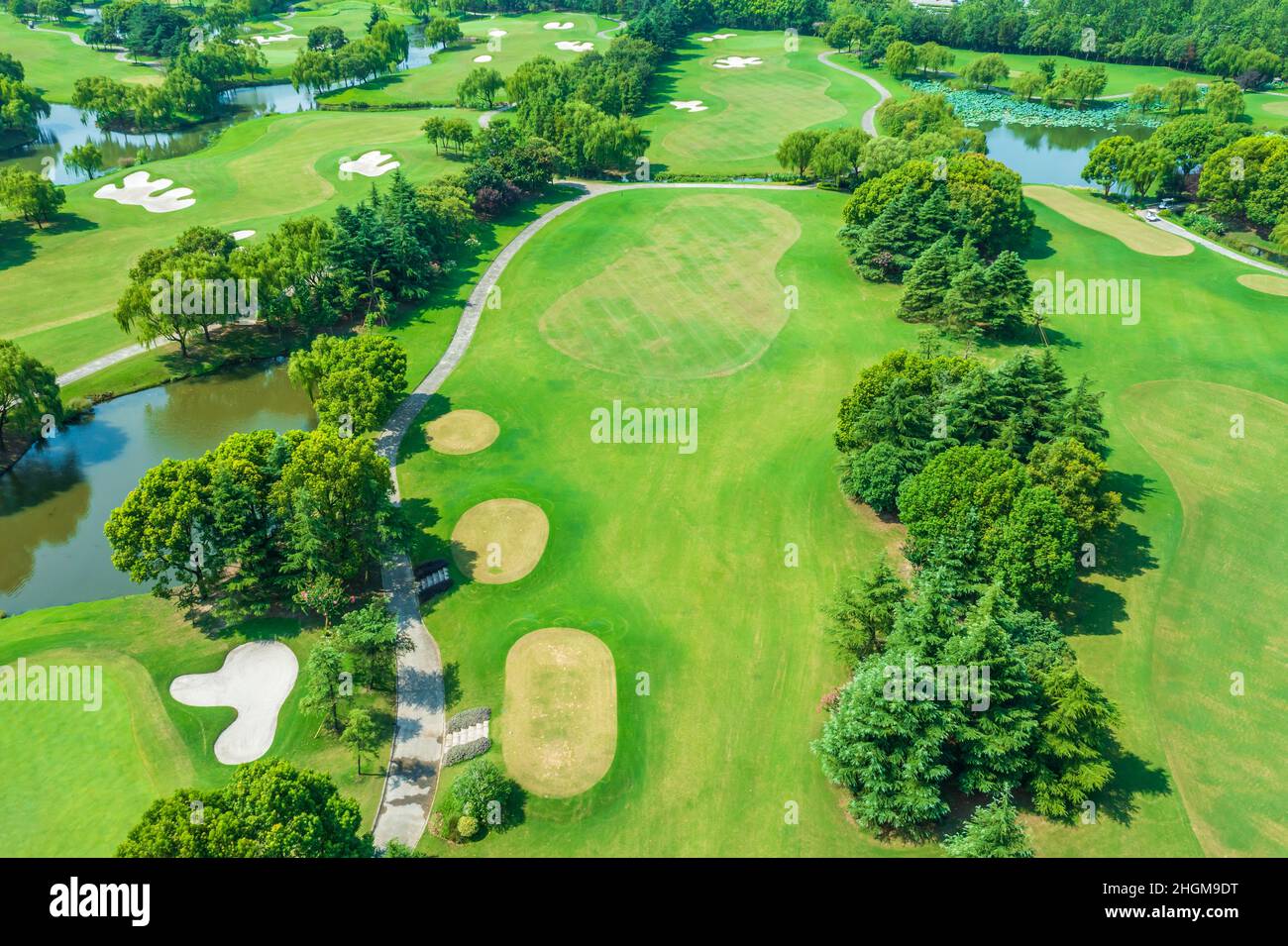 Aerial view of green lawn and forest on golf course Stock Photo - Alamy