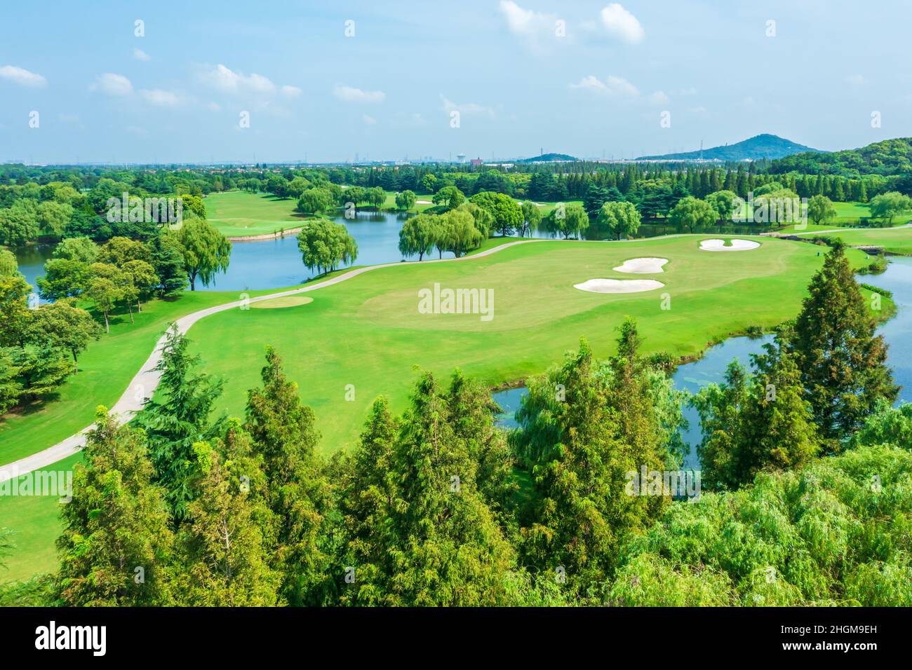 Aerial view of green lawn and forest on golf course.Green golf course ...
