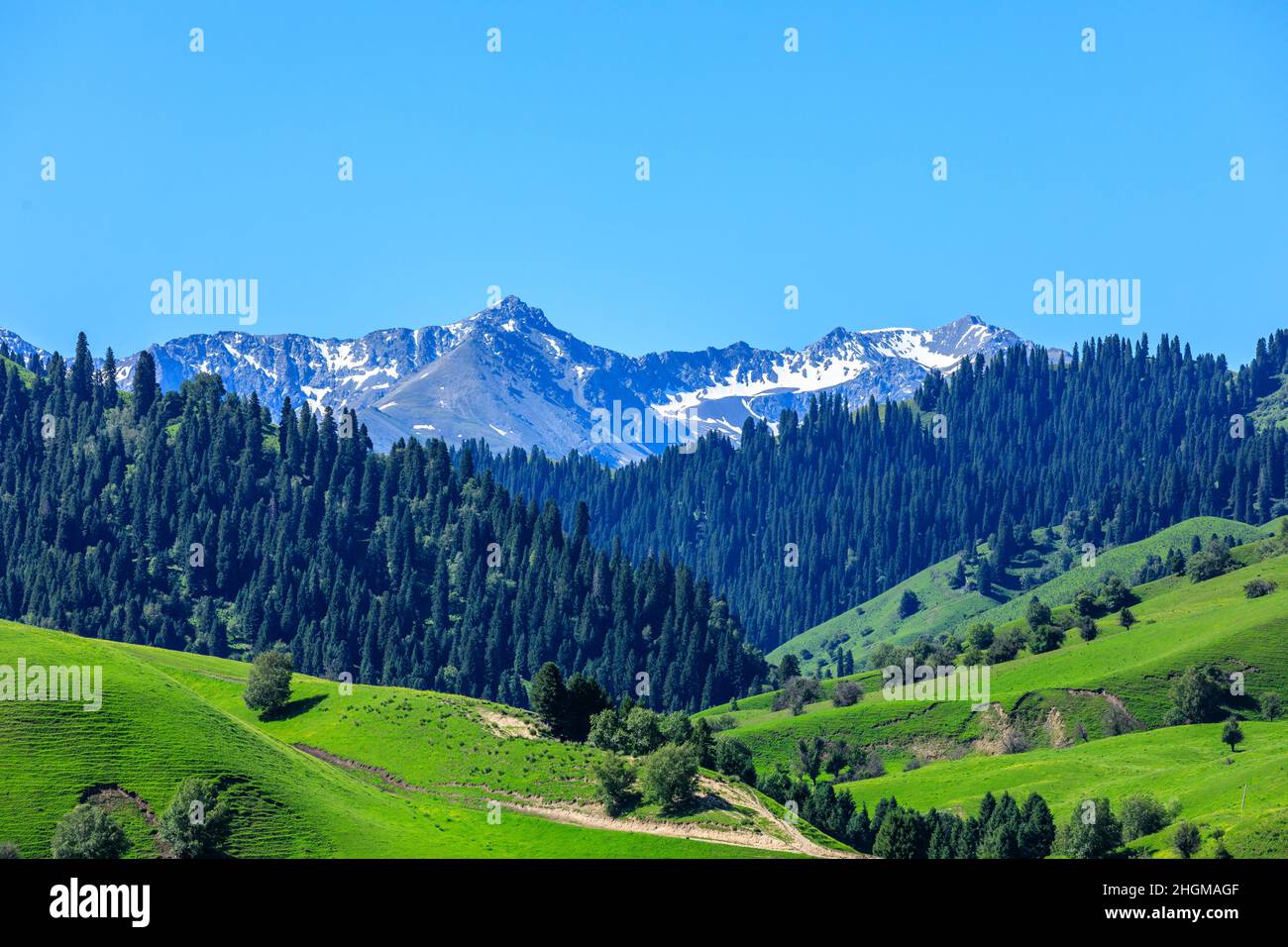 Nalati grassland with snow mountain scenery in Xinjiang,China Stock ...