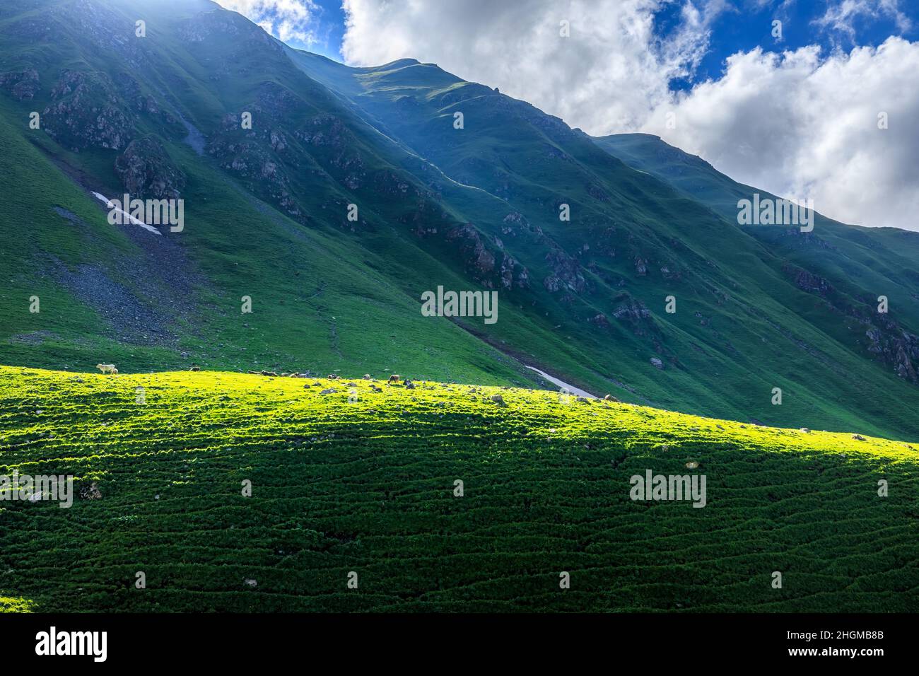 Nalati grassland with mountain scenery in Xinjiang,China Stock Photo ...