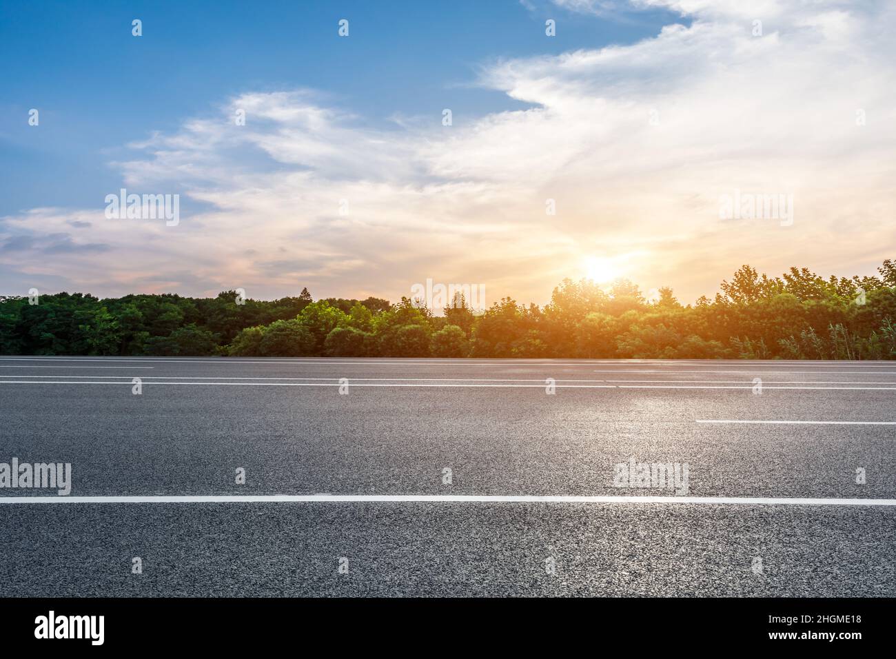 Ground forest hi-res stock photography and images - Alamy