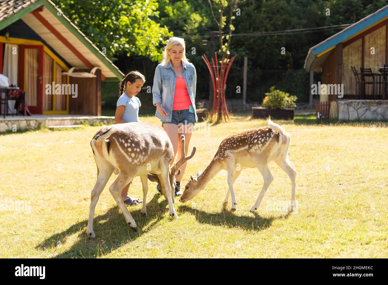 adorable toddler feeds deer on farm. Beautiful baby child petting ...