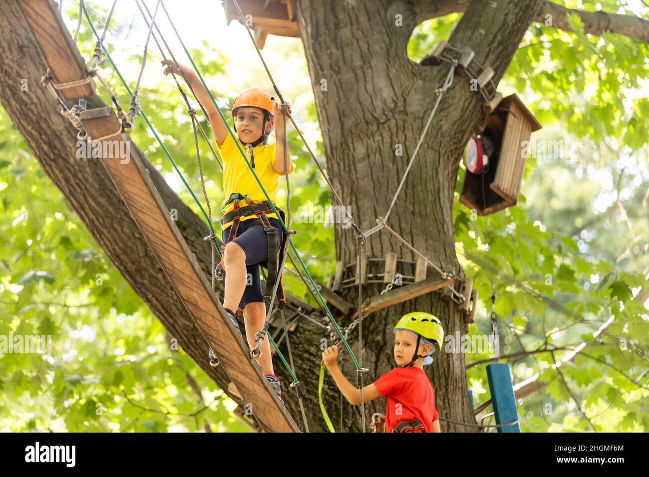 Child in forest adventure park. Kids climb on high rope trail. Agility ...