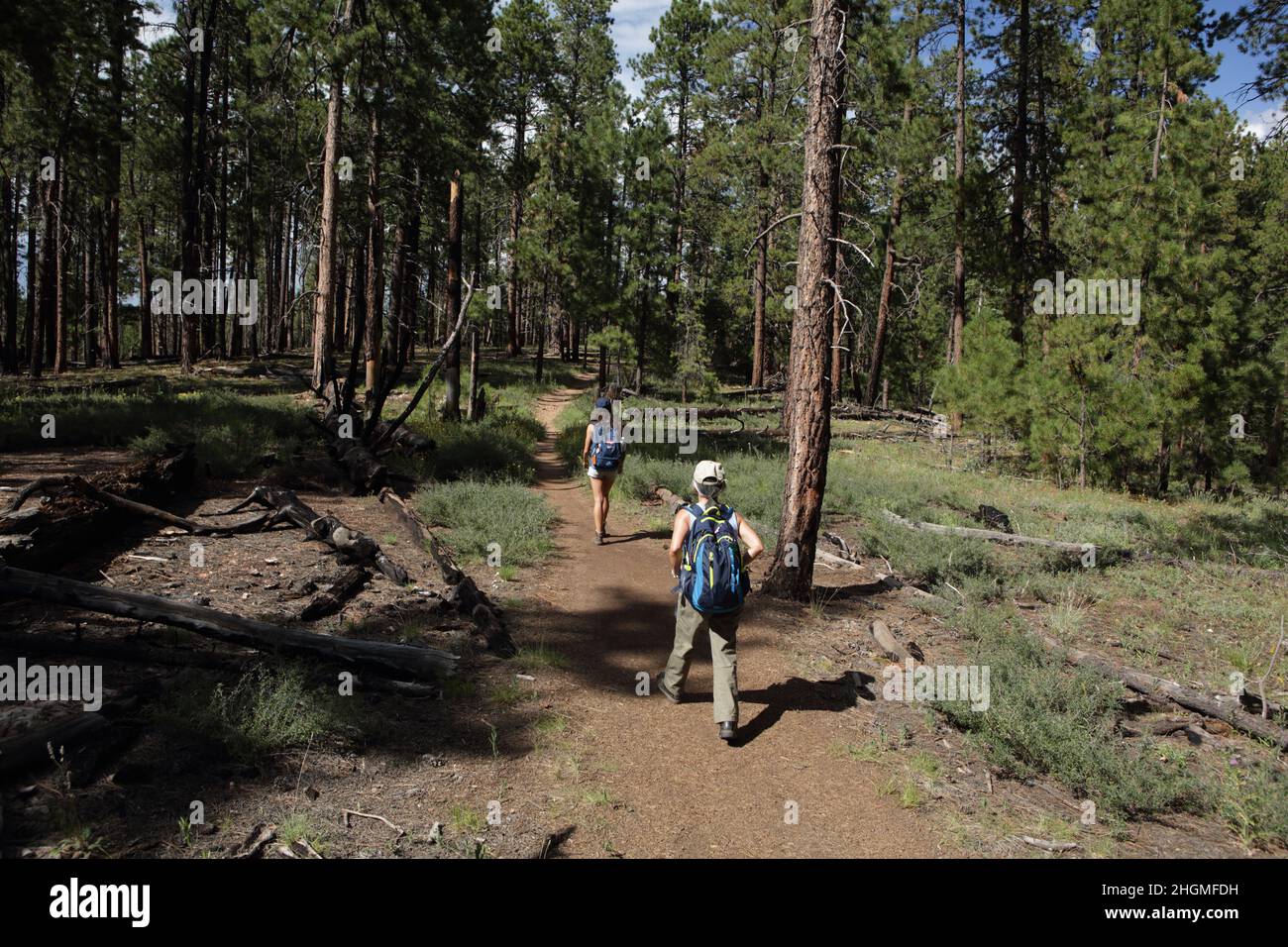 Two female hikers walking along the North Rim Widforss Point hiking ...