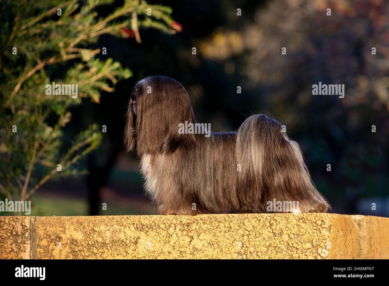 Full coat hi-res stock photography and images - Alamy
