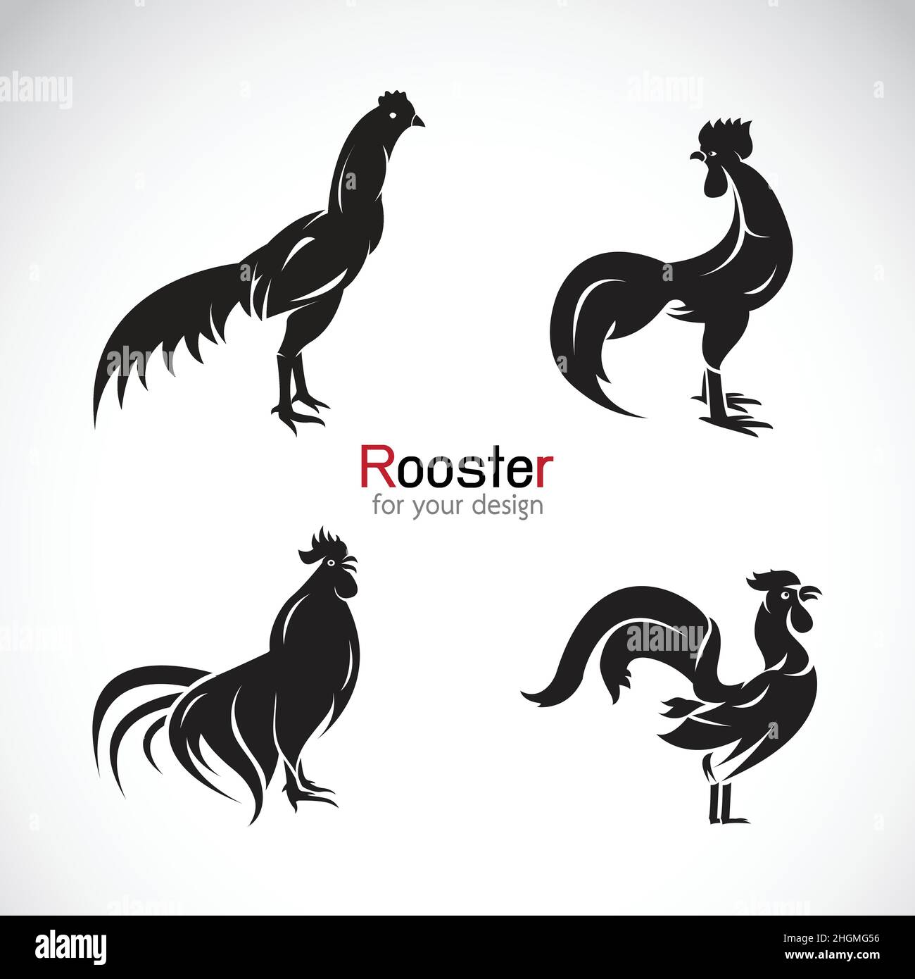 Vector group of rooster design on white background. Easy editable ...