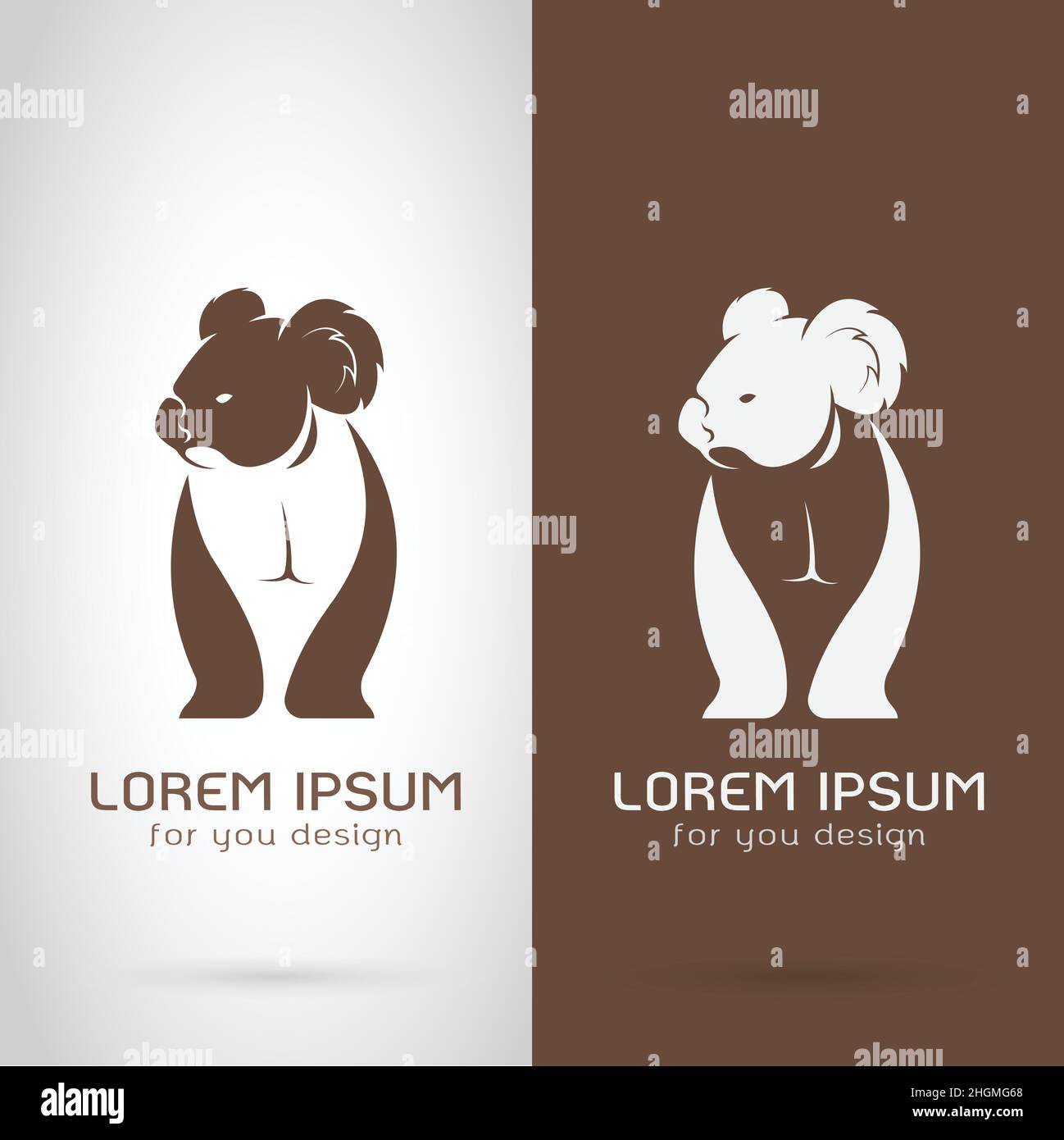 Vector of bear koala design on white background and brown background ...