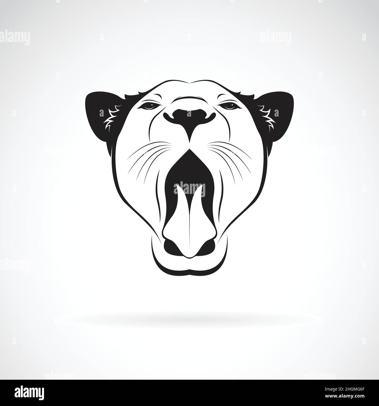 Vector of a female lion open mouth on white background. Wild Animals ...