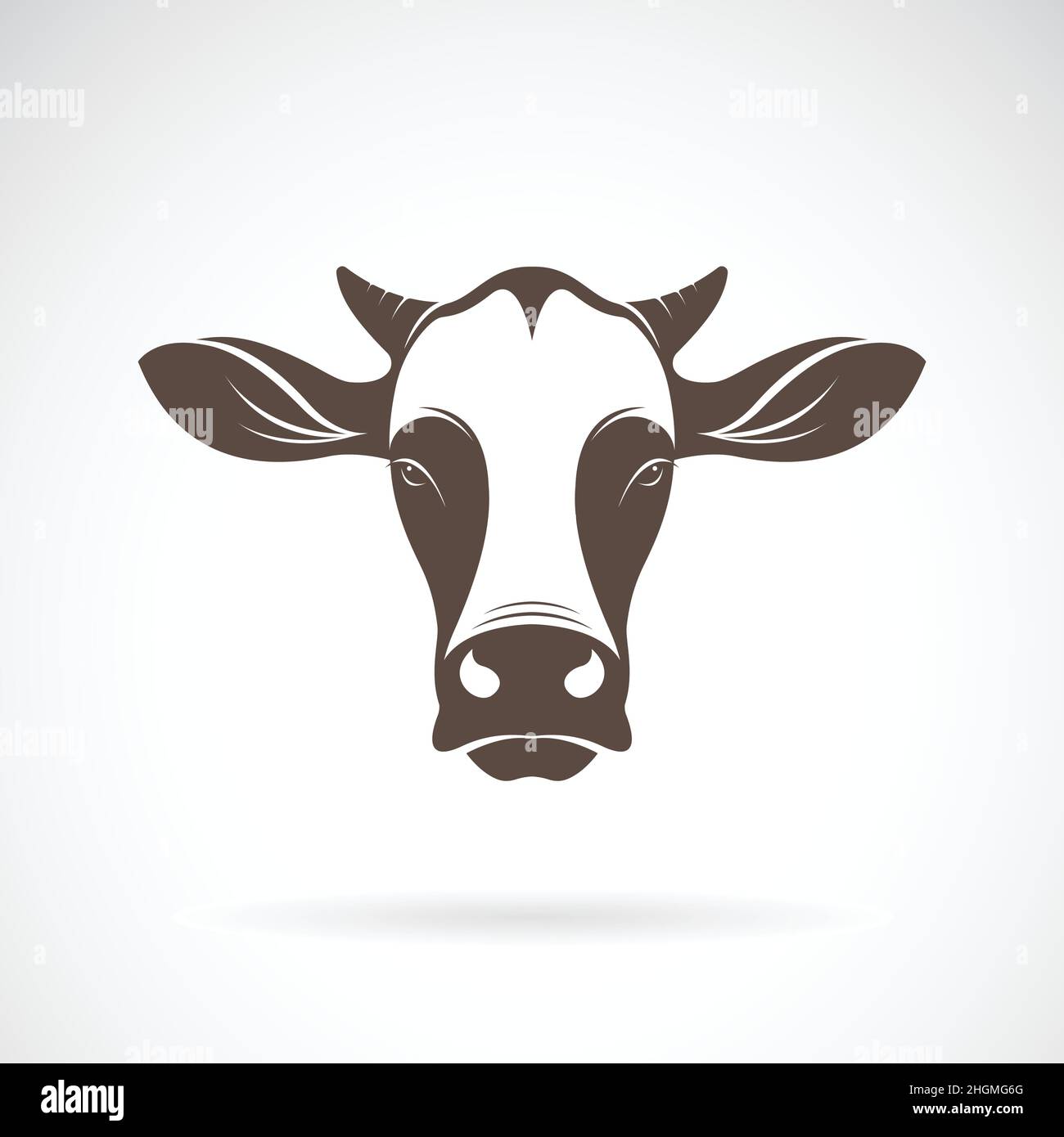 Vector of a cow head design on white background. Farm Animal. Cows ...
