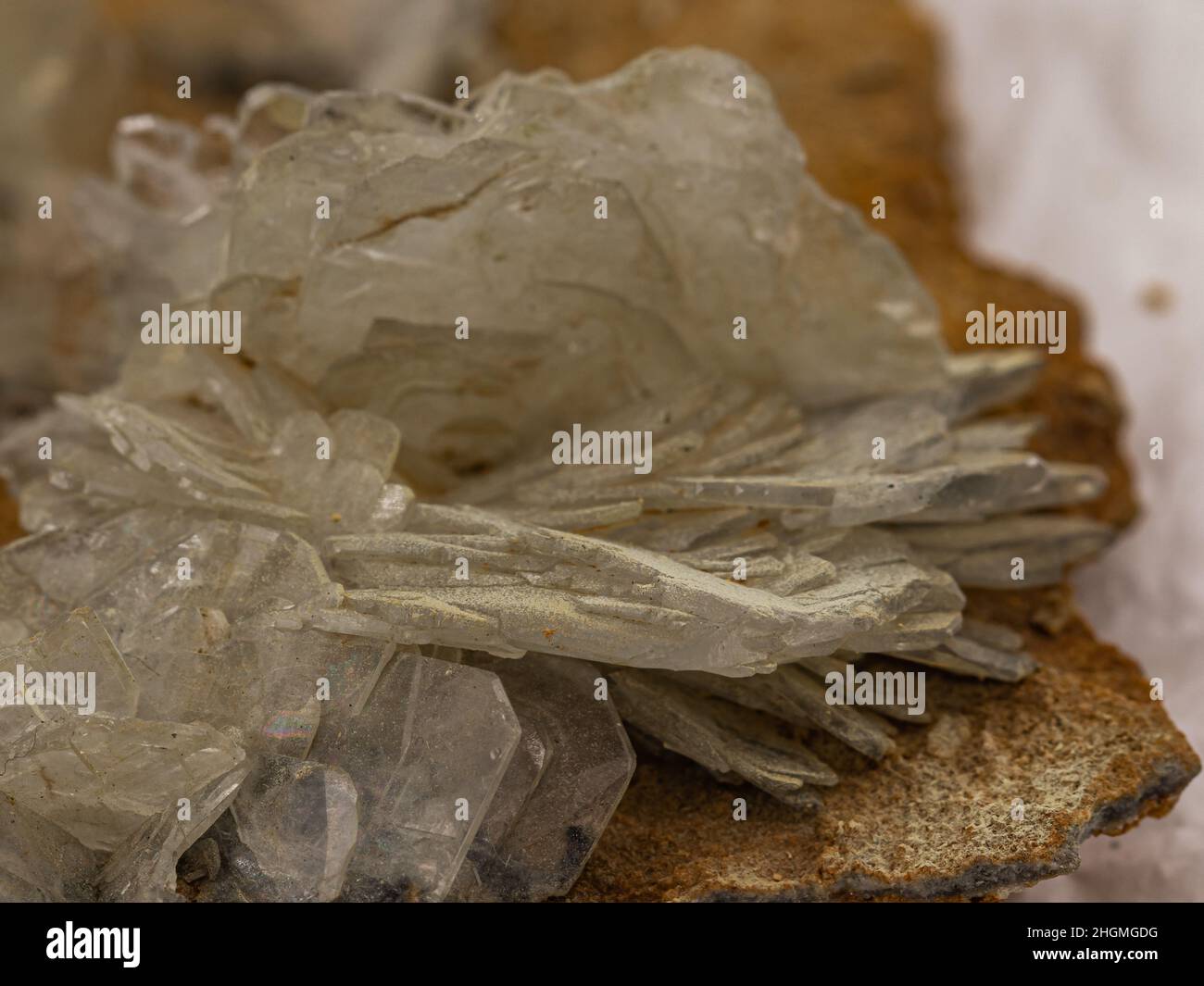 macro image of a collecting mineral sample Stock Photo - Alamy