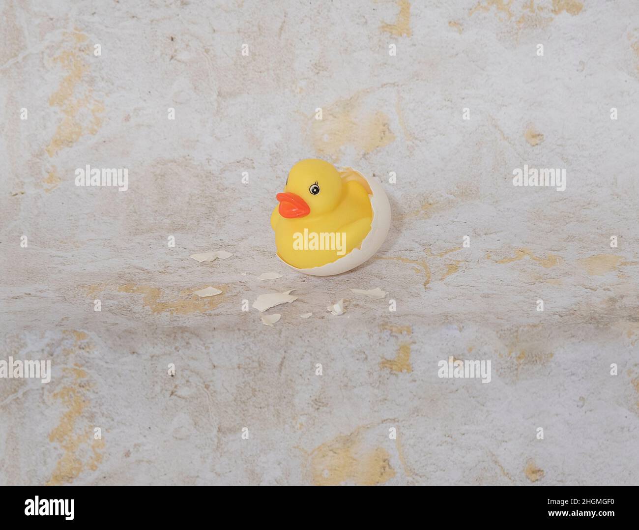 yellow rubber duck in eggshell Stock Photo - Alamy