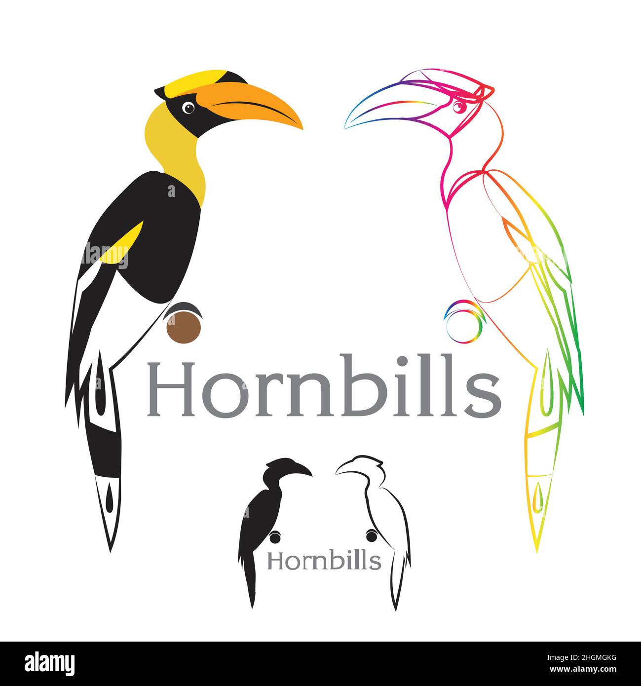 Vector of hornbill on a white background. Easy editable layered vector ...