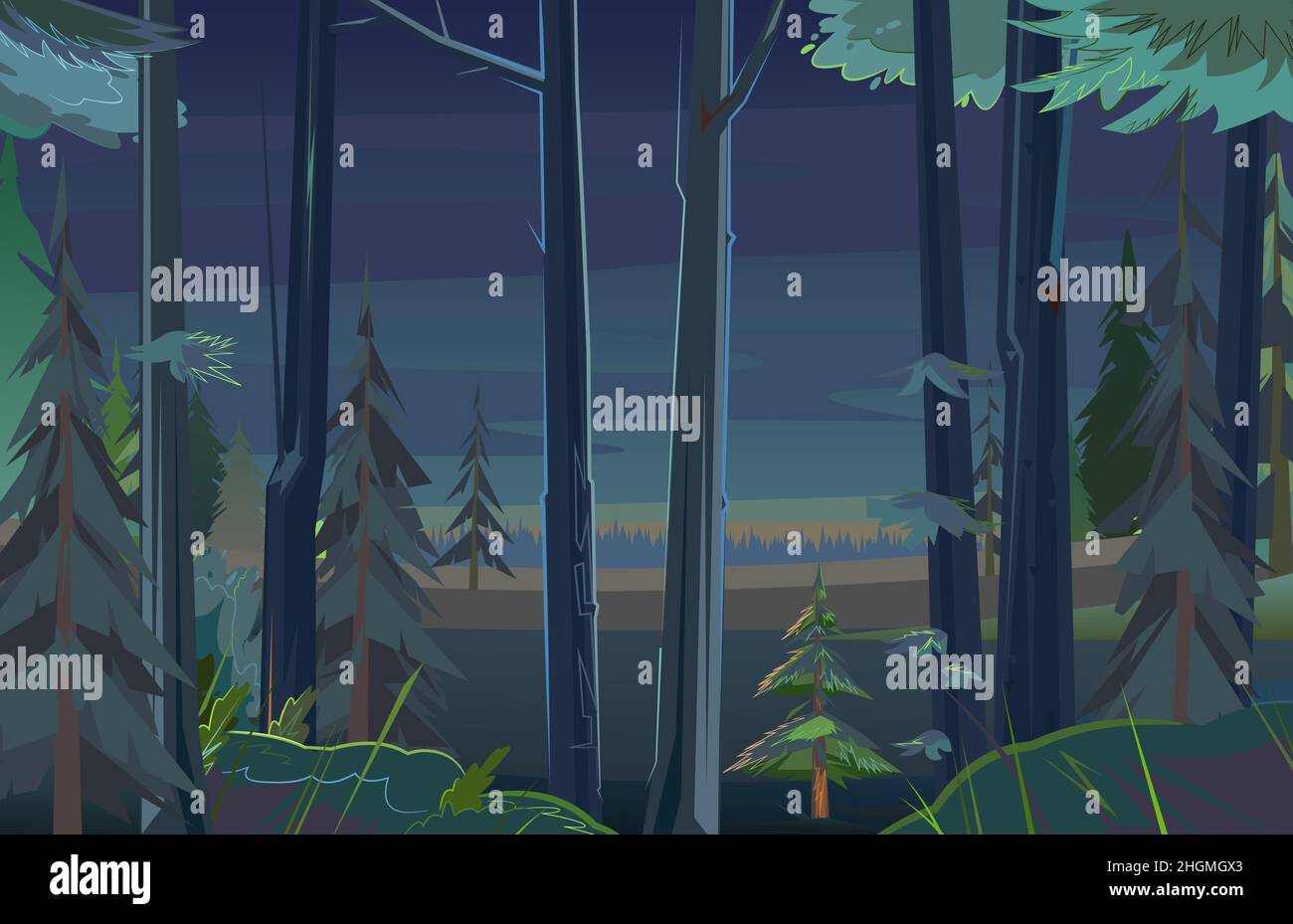 Night landscape with trees and fir trees. Trunks and branches ...