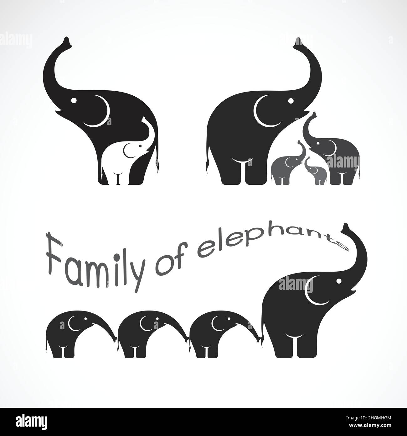 Vector image of family elephants on white background, Elephants design ...