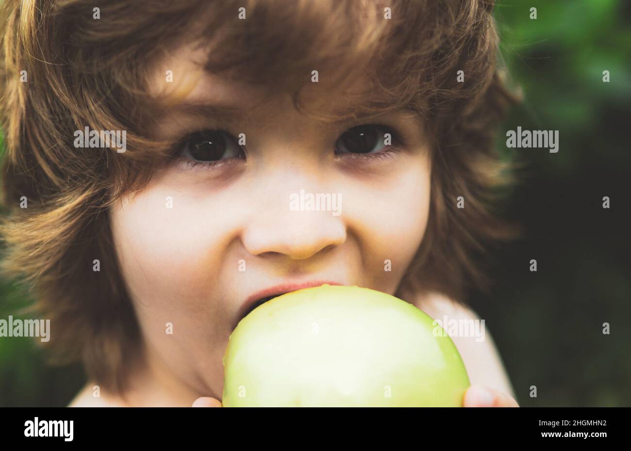 Child boy eating an apple in a park in nature Stock Photo - Alamy